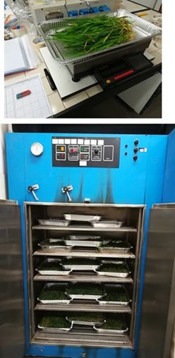 Laboratory for drying of samples - Unitus
